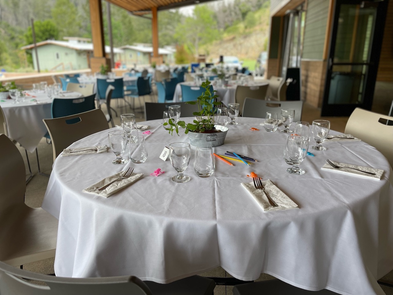 Dining - Eisner Camp